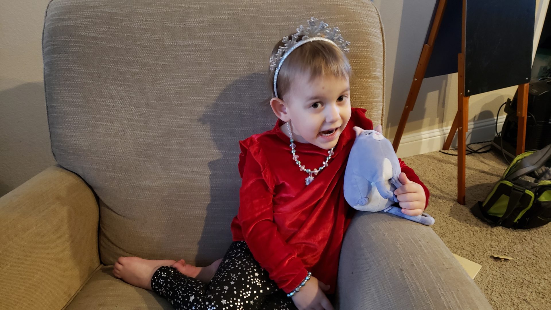 How I Spent My Christmas in 2019 - Adrienne Balkum