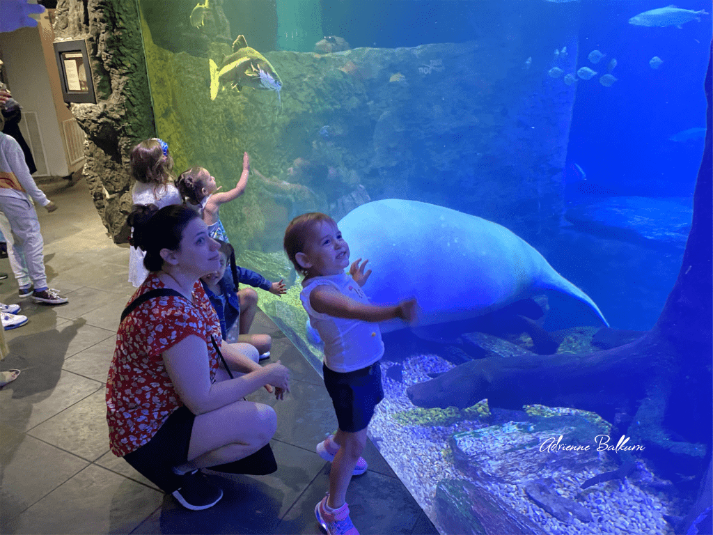 A Family Adventure at the Dallas World Aquarium - Adrienne Balkum