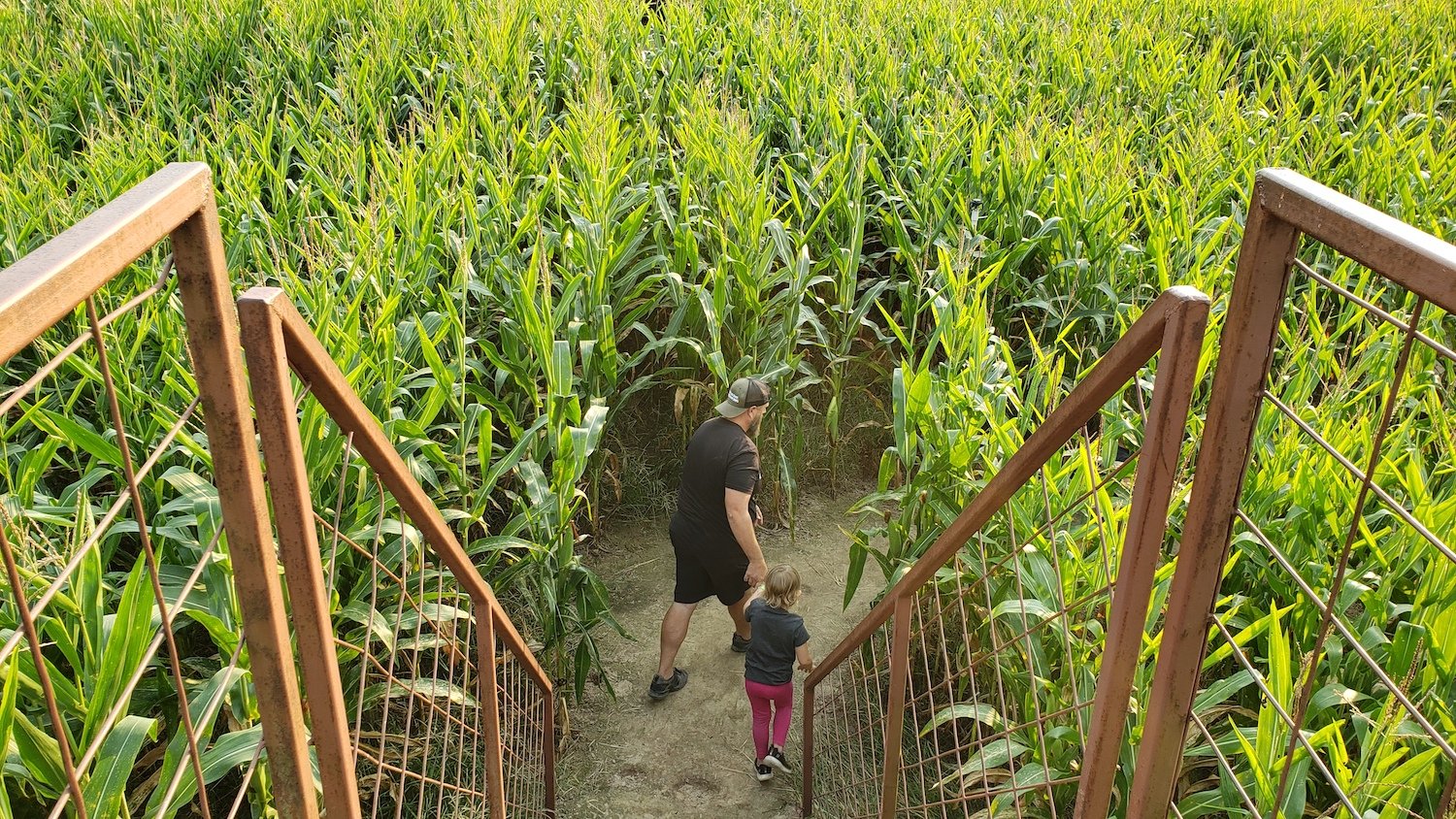 Open Fall Season With Yesterland Farms - Adrienne Balkum
