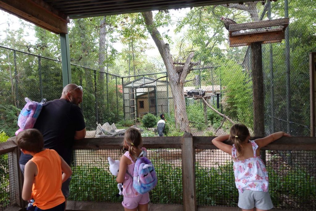 Know Before You Go: Dollar Days At Dallas Zoo - Adrienne Balkum